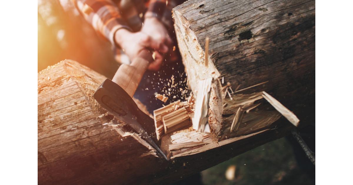 Prodaja drv za ogrevanje Izola, Obala